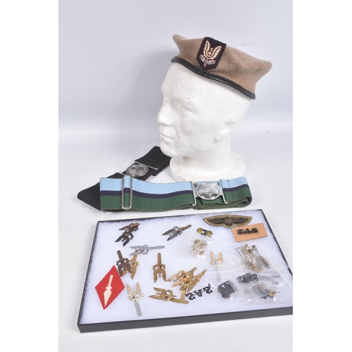 RIKER DISPLAY OF 22 SAS REGIMENT INSIGNIA, to include numerous SAS ...