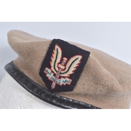 RIKER DISPLAY OF 22 SAS REGIMENT INSIGNIA, to include numerous SAS ...