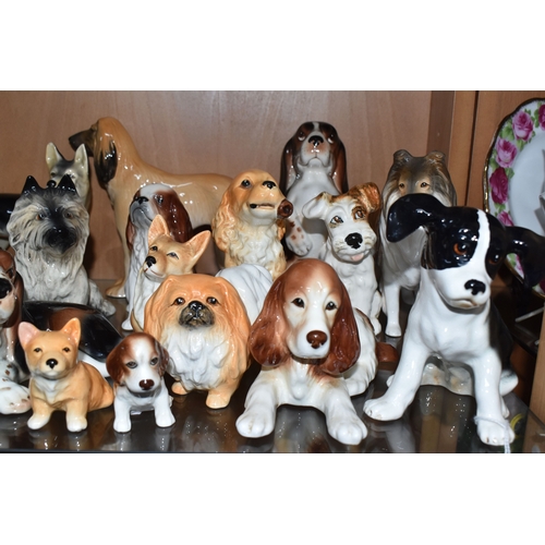 A COLLECTION OF SYLVAC DOG FIGURES, eighteen figures to include Spaniel ...