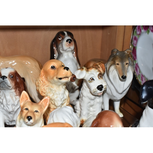A COLLECTION OF SYLVAC DOG FIGURES, eighteen figures to include Spaniel ...