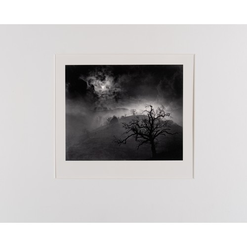 Three contemporary photographsIncluding:[a] Wynn Bullock, 'Stark Tree ...