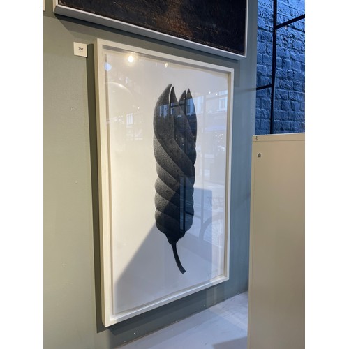 Jonathan Delafield Cook (British, b. 1965)SeedpodCharcoal on ...