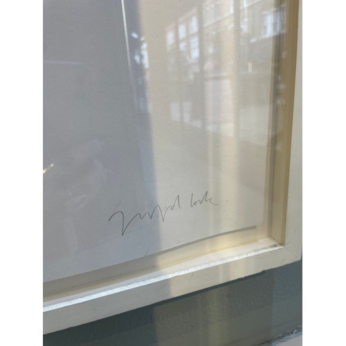 Jonathan Delafield Cook (British, b. 1965)SeedpodCharcoal on ...