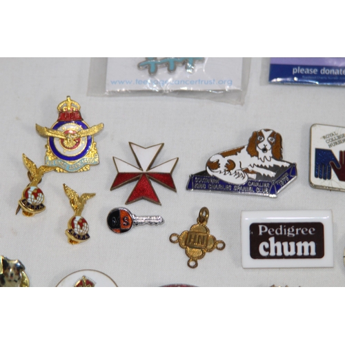 QUANTITY OF INTERESTING VARIOUS BADGES