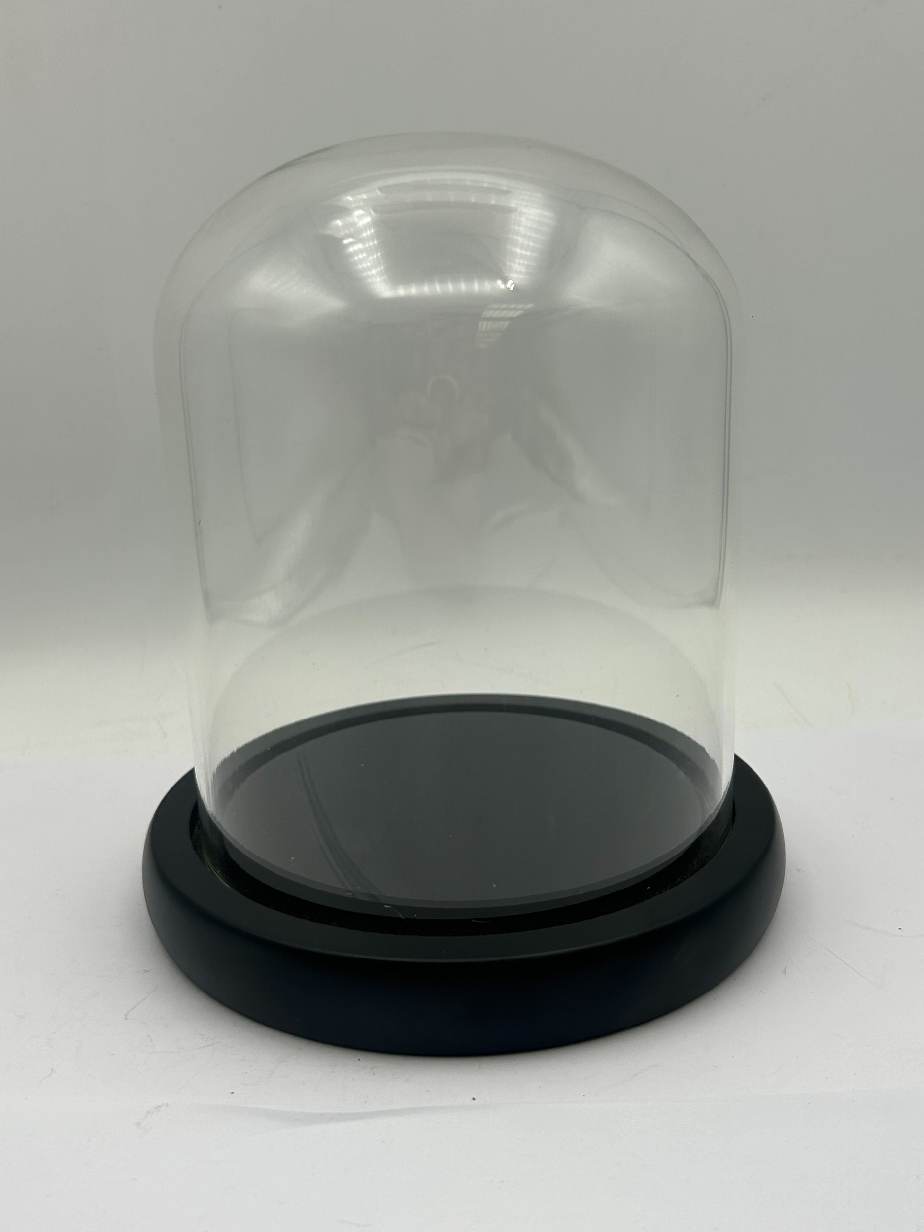 Modern Glass Domed Display Cloche with Black Base, 7” Tall
