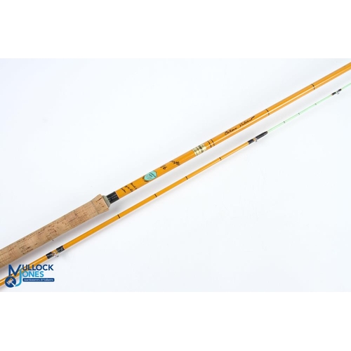 Aiken London Superflex hollow glass ledger rod 9' 2pc with 24" solid ...