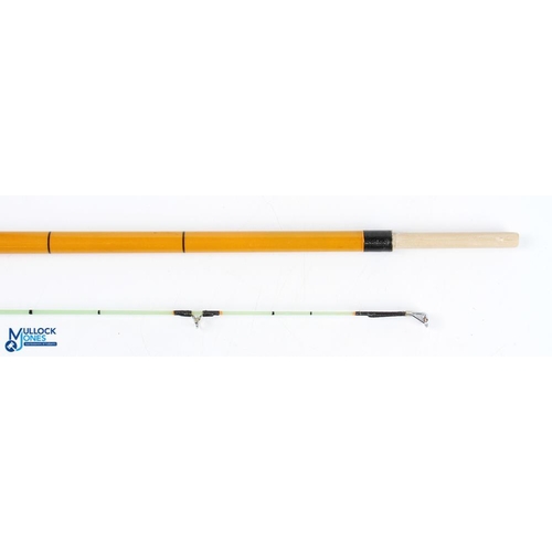 Aiken London Superflex hollow glass ledger rod 9' 2pc with 24" solid ...