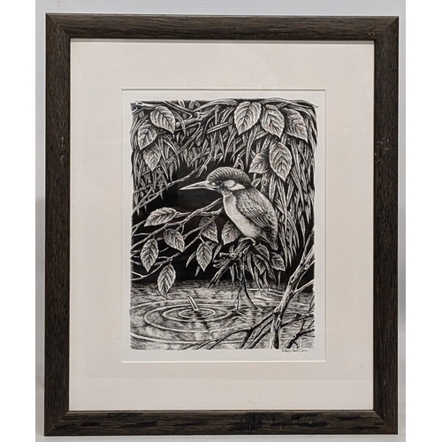 Paul Cook Fishing Artist original art Kingfisher and Float - an ...