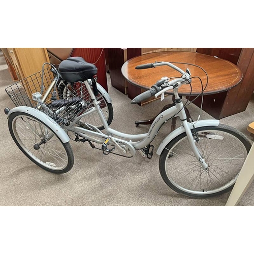 FREE AND EASY TRIKE WITH BASKET