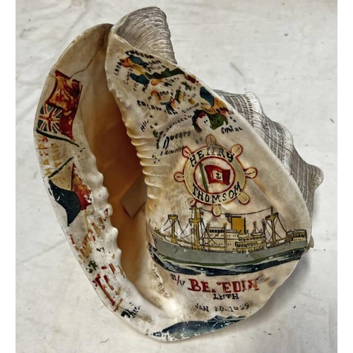 CONCH SHELL WITH PAINTED SHIP SCENE TO BODY 'HENRY THOMSON, BENEDIN ...