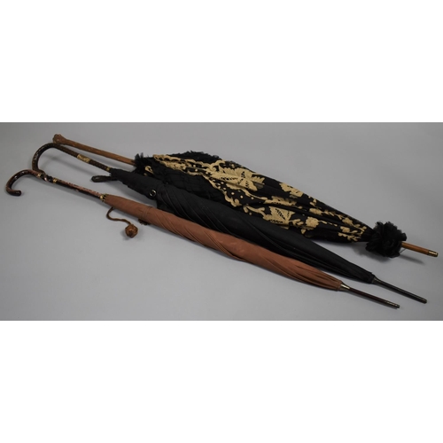 A Collection of Three Late Victorian/Edwardian Ladies Parasols