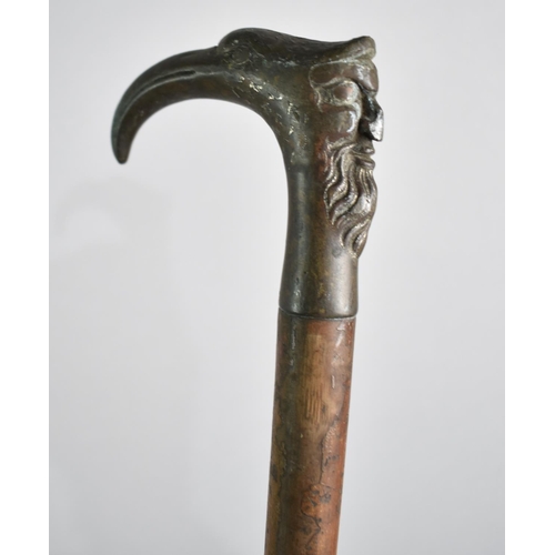 An Interesting Late 19th/Early 20th Century Ladies Walking Cane with ...