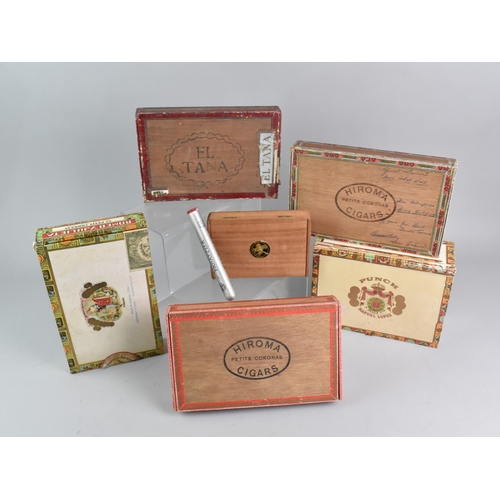 A Collection of Various Empty Cigar Boxes