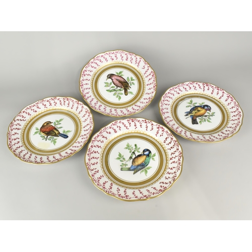 A Set of Four Sevres Porcelain Ornithological Plates Featuring Central ...