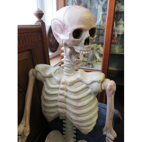 Life size plastic human skeleton. Approx 5ft tall. See photos.
