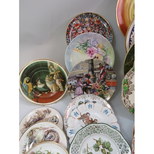 Collection of decorative plates including commemorative and floral examples