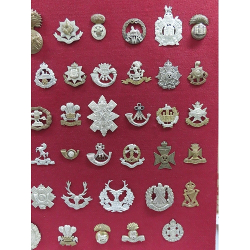 Large selection of military cap badges mounted on board including ...
