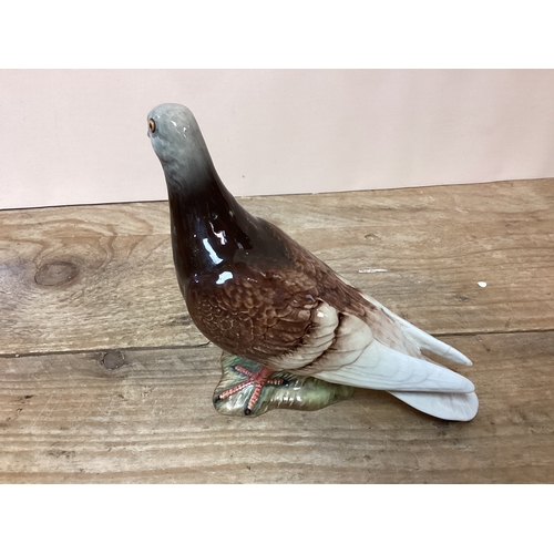 Beswick Pigeon