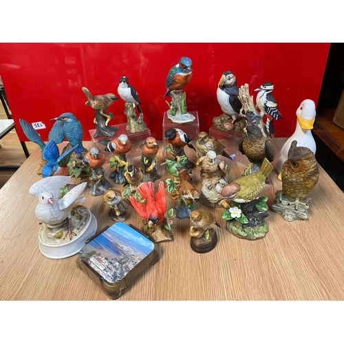 Large Ceramic Bird Collection