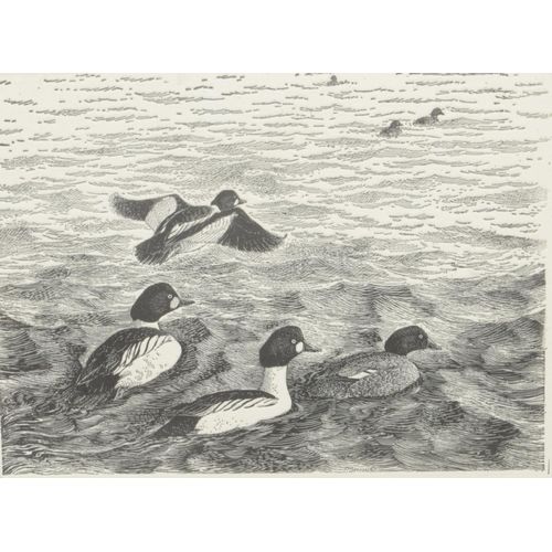 Philip Snow (b.1947) two framed prints depicting groups of birds one ...