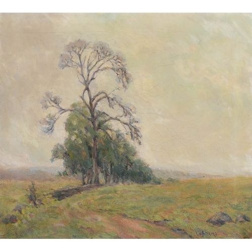 Lily Osman Adams (1865-1945) Canadian. An Extensive Landscape, Oil on ...