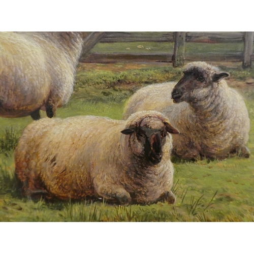 In the manner of Charles Jones - sheep gathered in a field oil on ...