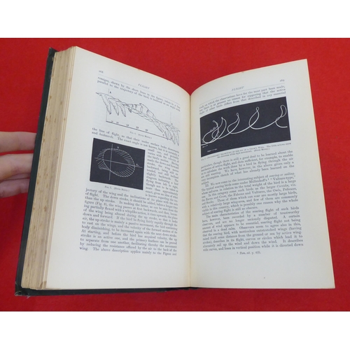 Book: 'A Dictionary of Birds' by Alfred Newton, Assisted by Hans Gadow ...