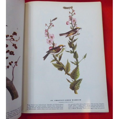 Book: 'The Birds of America' by John James Audubon, published by The ...