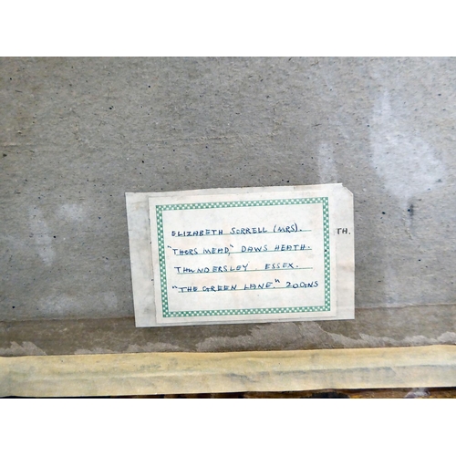 Elizabeth Sorrell - a woodland path watercolour bears a signature 14" x ...