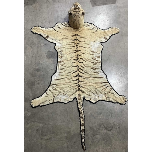 Taxidermy: Bengal Tiger (Panthera tigris tigris), early 20th century ...