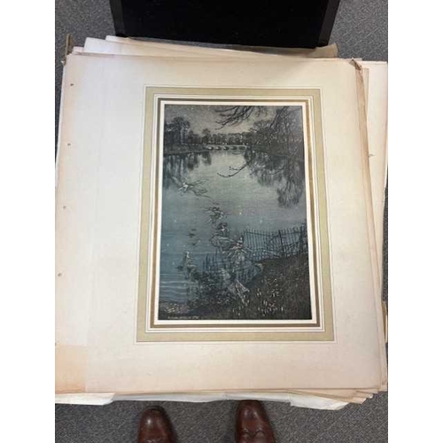 Rackham, Arthur & Barrie, J.M, The Peter Pan Portfolio, 1912, London ...