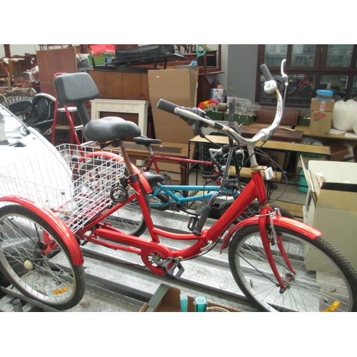 Tricycle with back basket