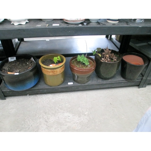 Five assorted plant pots with some foliage