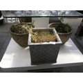 Three assorted plant pots