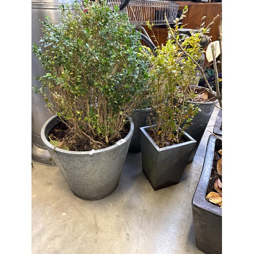 Four assorted plant pots with plants