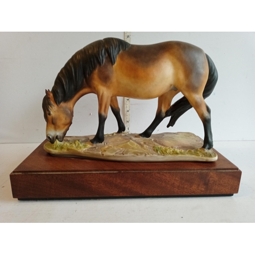 Royal Worcester Horse Figurine, Exmoor Pony, Very Rare. By Bernard Winskill