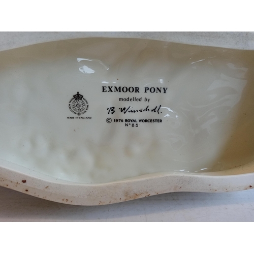 Royal Worcester Horse Figurine, Exmoor Pony, Very Rare. By Bernard Winskill