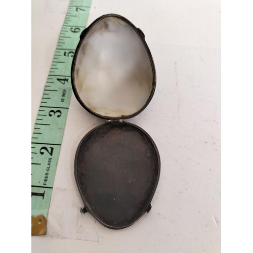 Very Very Rare. Cypraea Cowrie Tigris Brown Spotted Seashell on Silver ...