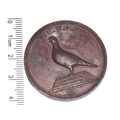 W.E.M.F.A copper pigeon medal