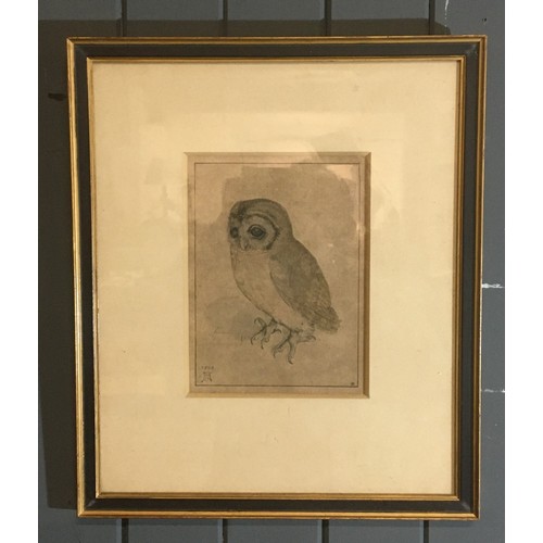 Albrecht Durer Antique Medici Print "Small Owl"H 41cm x W 34cm
