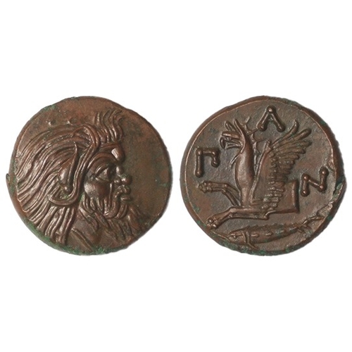 Ancient Greek: Thrace, Pantikapaion c.310-303 BC, AE 20. Bearded hd. of ...