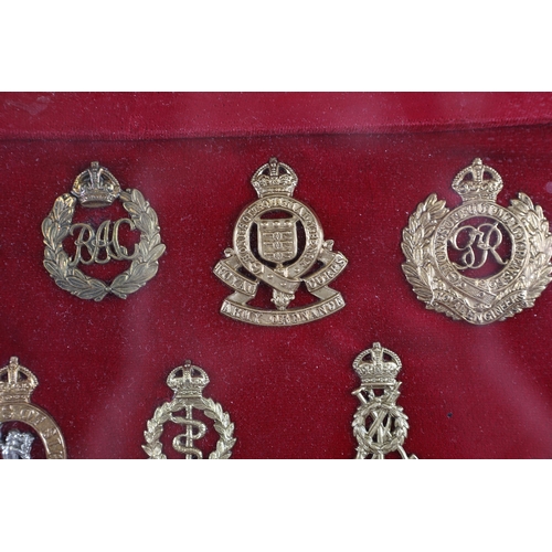 Four framed trays of British military cap badges, Army Support Units ...