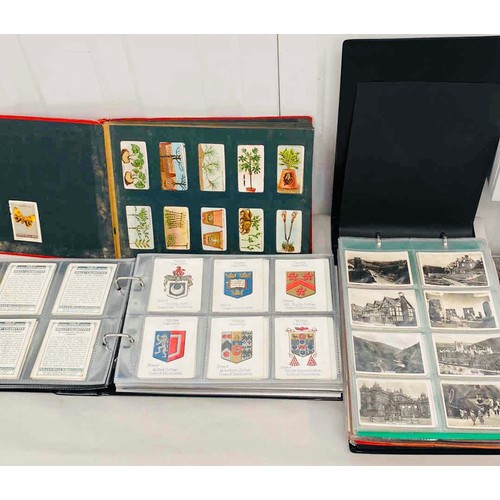 Three album binders housing several hundred early-20th-century ...