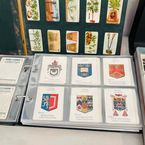 Three album binders housing several hundred early-20th-century ...