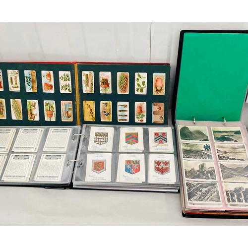 Three album binders housing several hundred early-20th-century ...