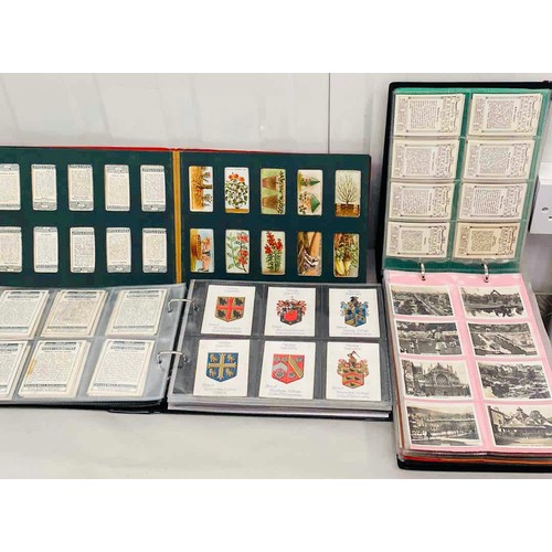 Three album binders housing several hundred early-20th-century ...