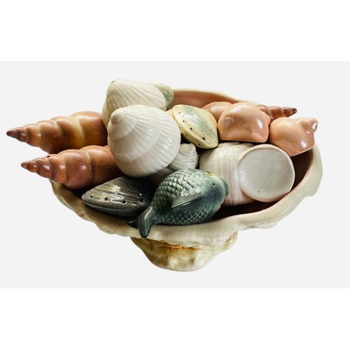 Large selection of shell salt and peppers in a large shell bowl