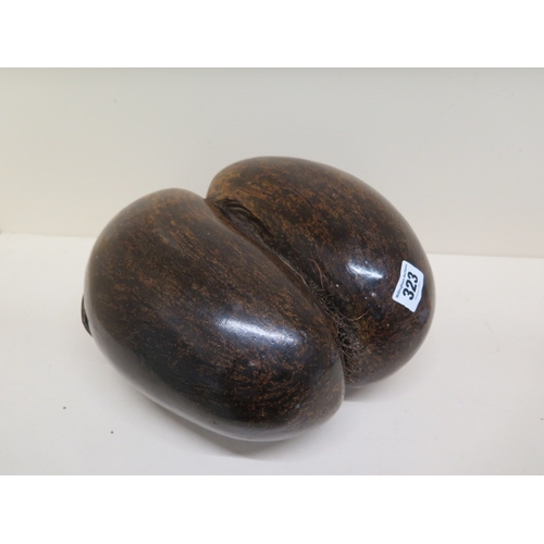 A Coco de Mer shell nut - Lodoicea Maldivica - with a hinged top - 28cm ...