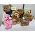 Selection of vintage soft toys