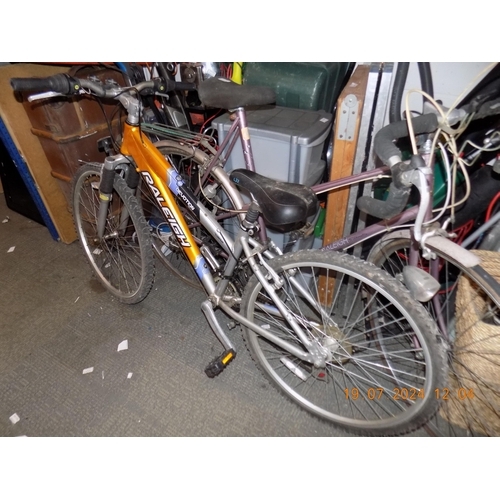 Raleigh Devotion Bike